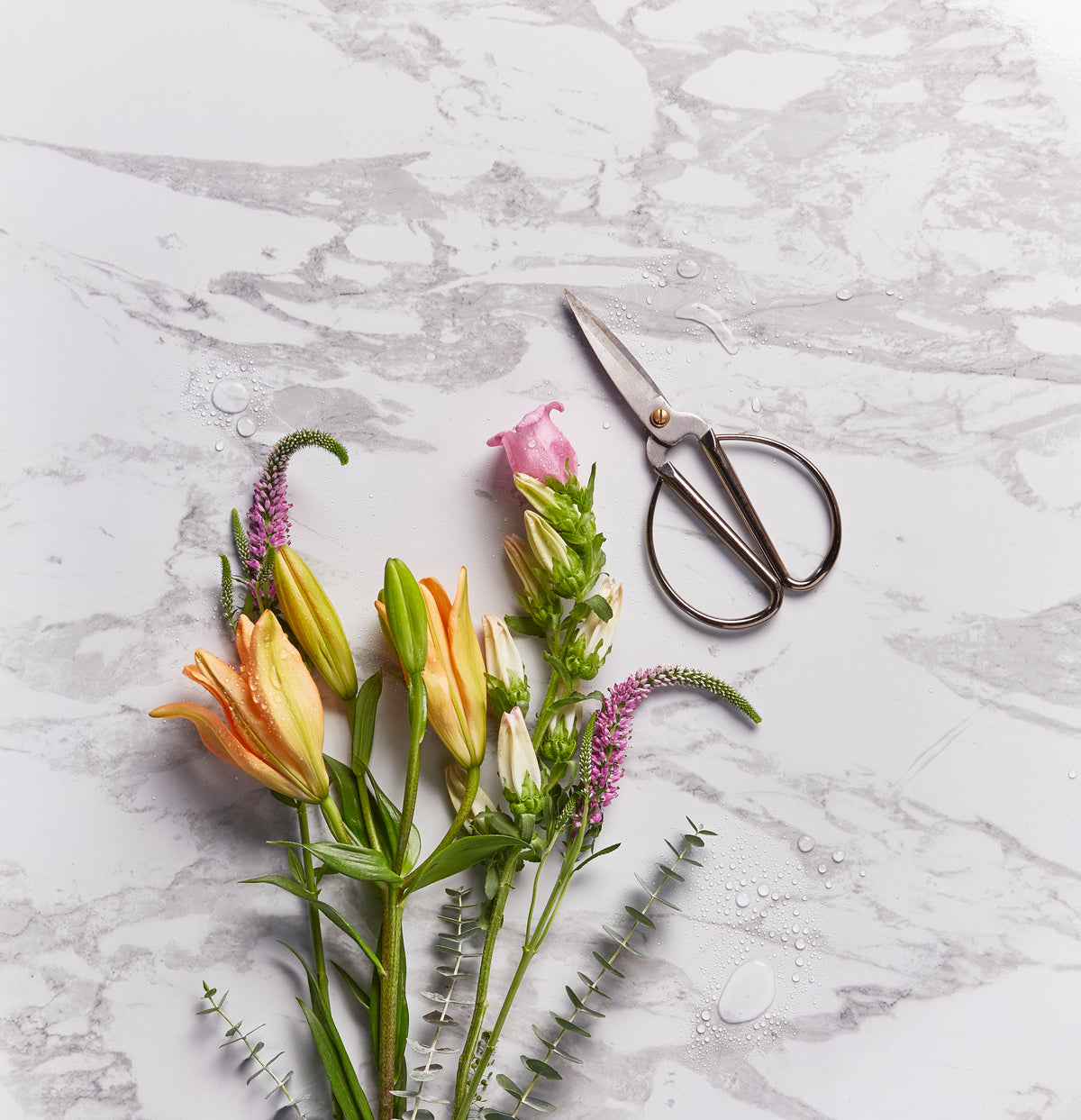 Sample of Instant Granite - all colors! - Easy Home Renewals