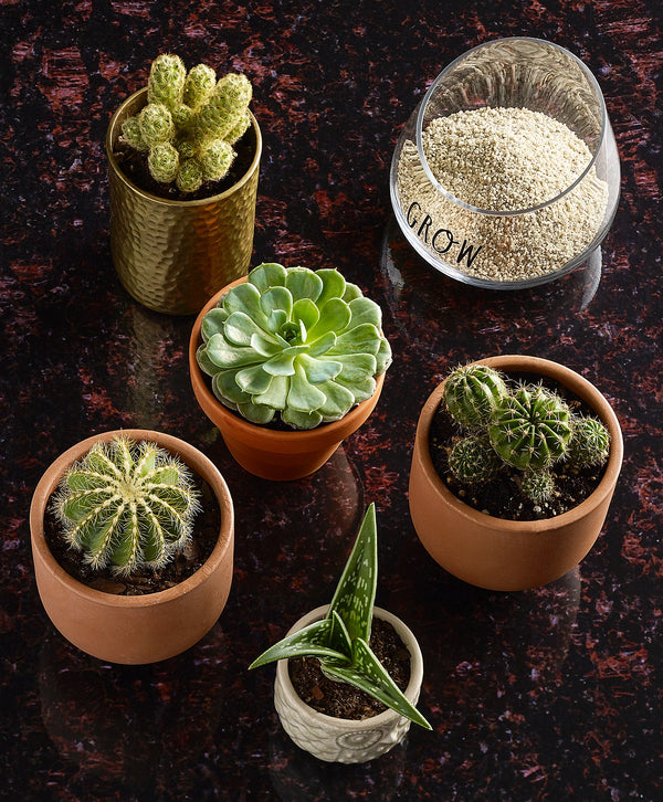 Instant Granite in Chestnut | Counter Top Film 36" wide Self Adhesive ...